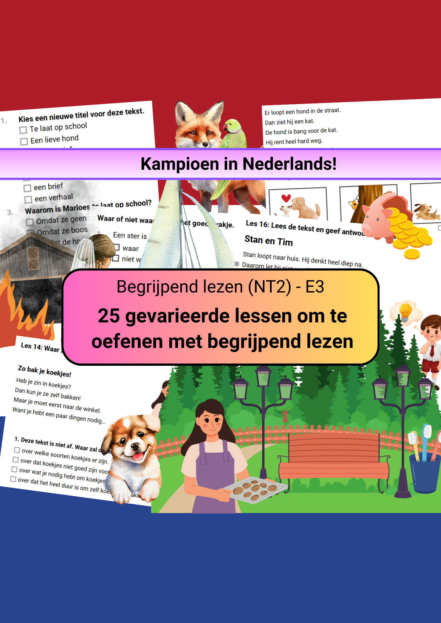 Begrijpend lezen (NT2) – Onderwijscadeau